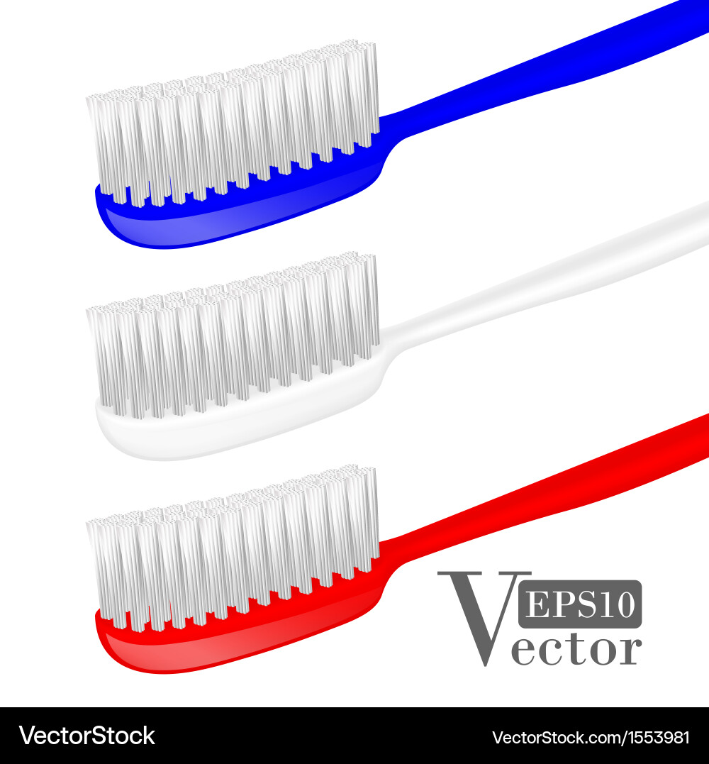 Toothbrush Royalty Free Vector Image - VectorStock