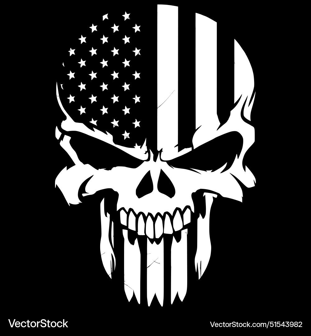 American flag skull graphic Royalty Free Vector Image