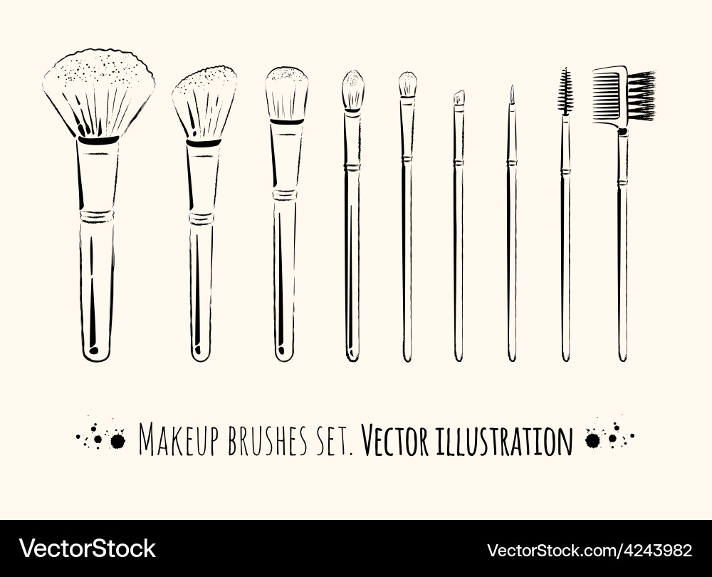 Makeup brushes kit Royalty Free Vector Image - VectorStock