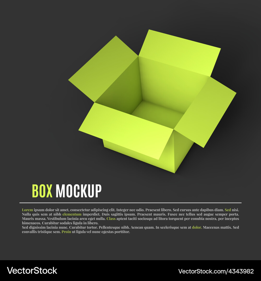 Open box mockup template Royalty Free Vector Image