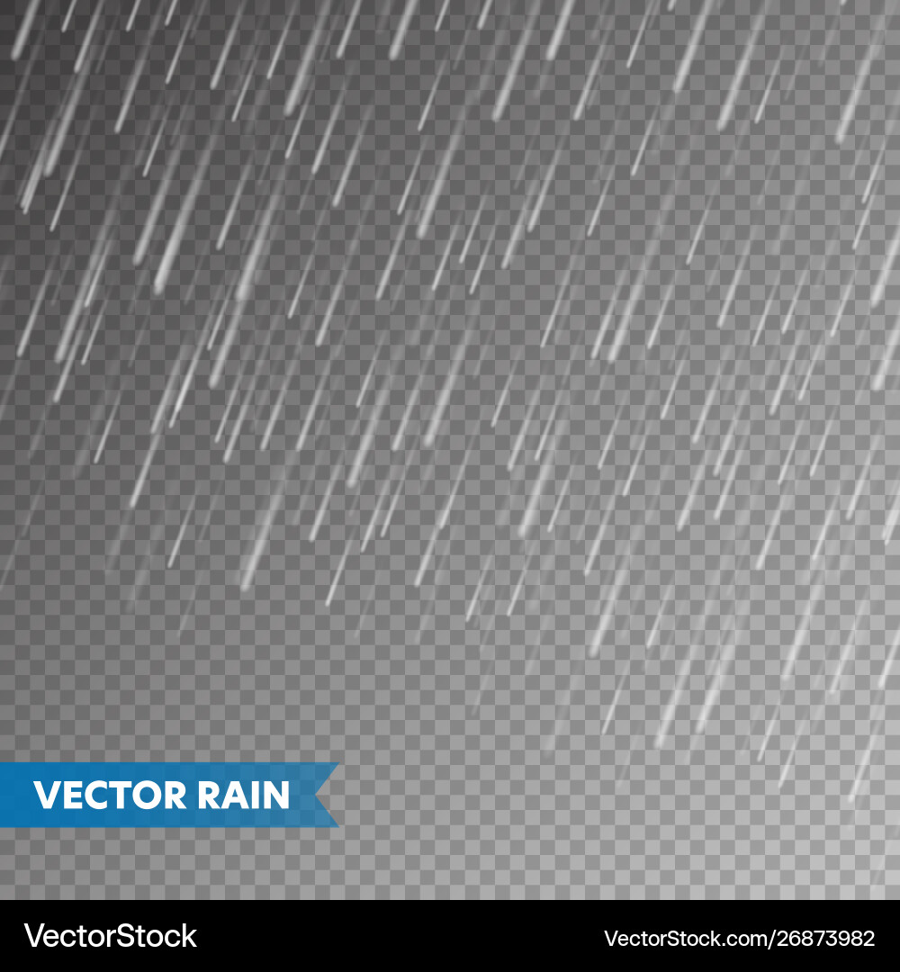 Realistic rain texture on transparent background Vector Image