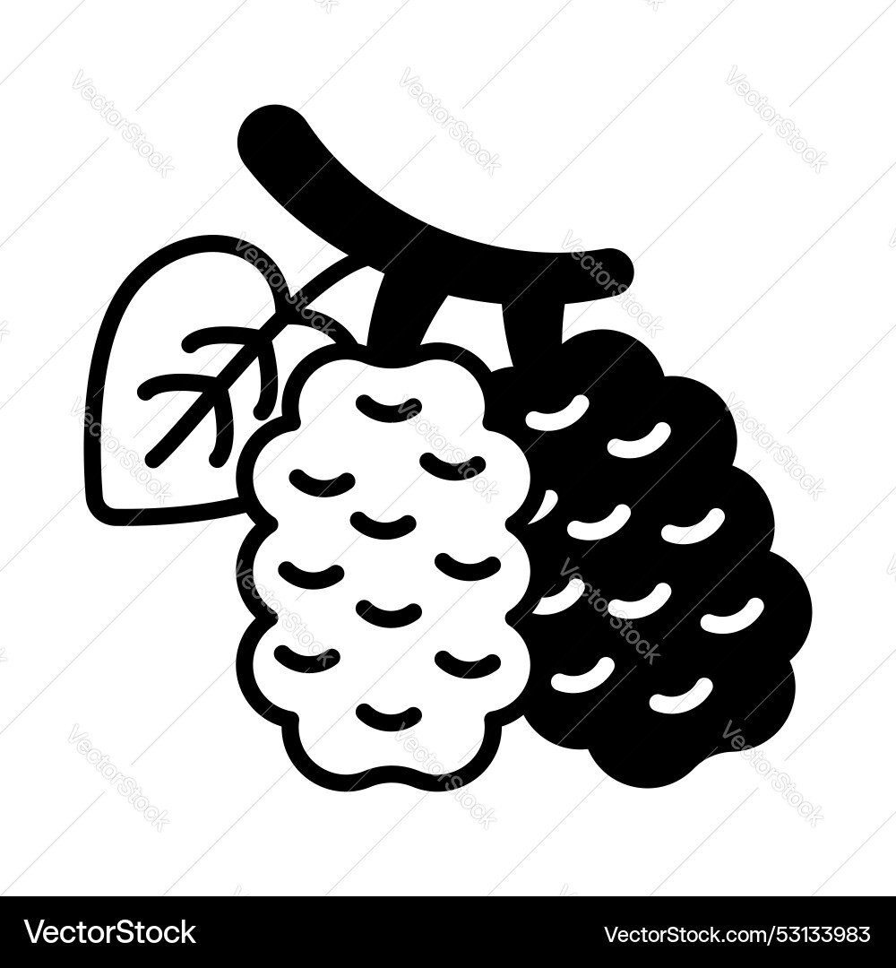 Mulberry Royalty Free Vector Image - VectorStock