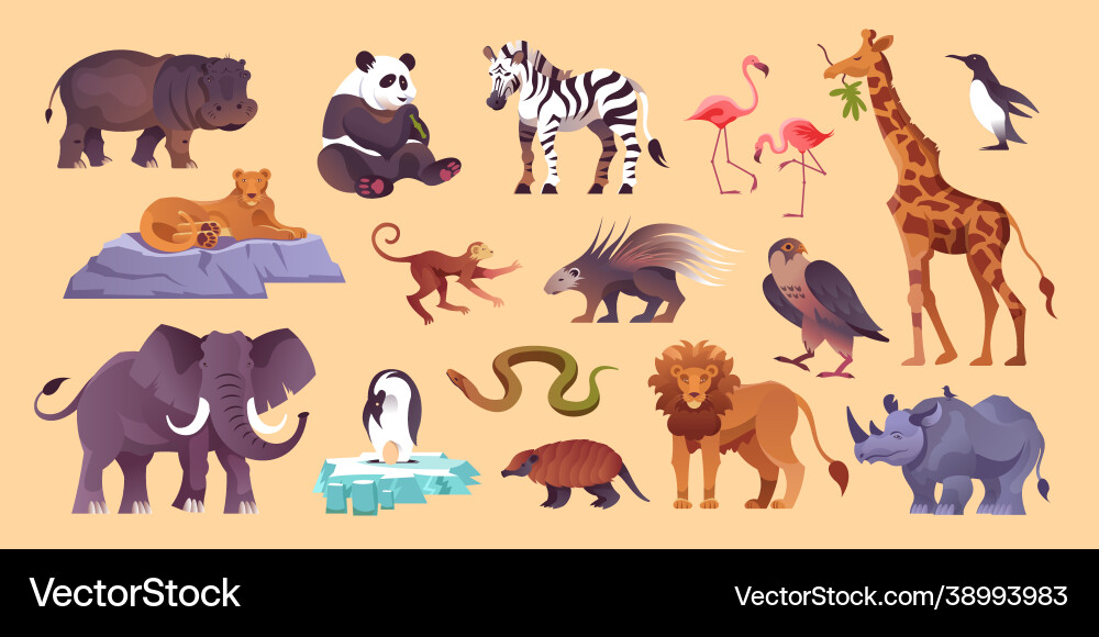 Zoo animals set Royalty Free Vector Image - VectorStock