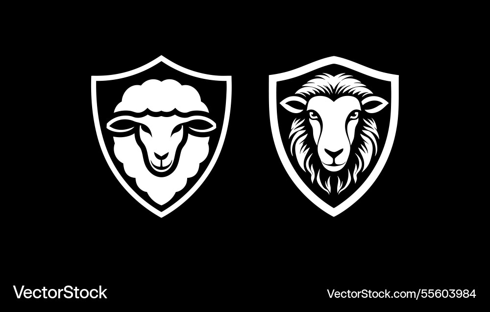 Sheep angry in shield Royalty Free Vector Image