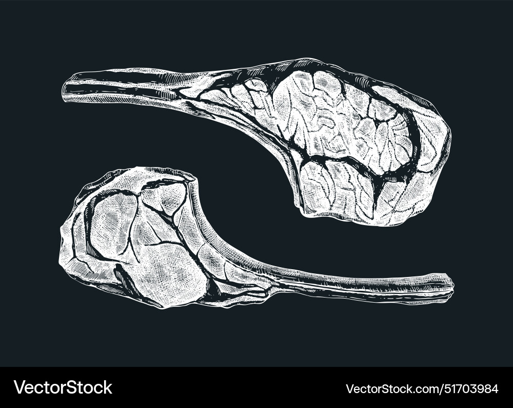Tomahawk steak sketches meat drawing Royalty Free Vector