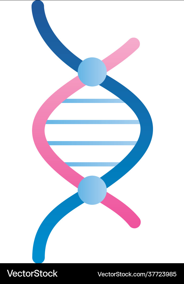 Pink and blue dna Royalty Free Vector Image - VectorStock