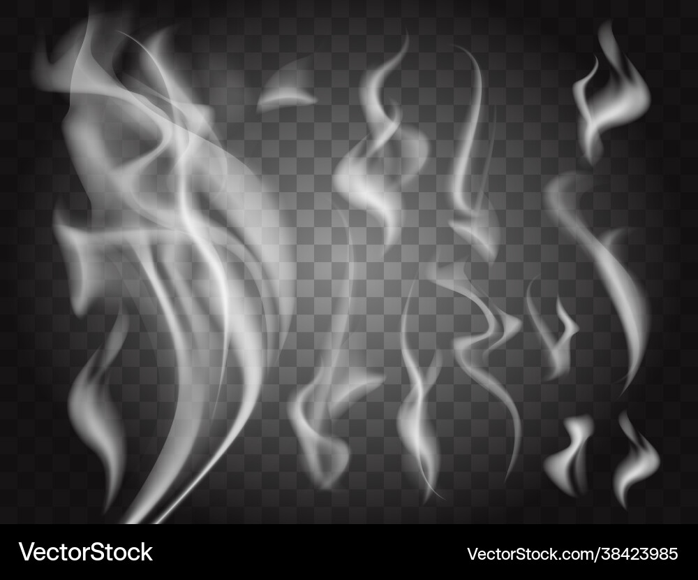 Transparent smoke Royalty Free Vector Image - VectorStock