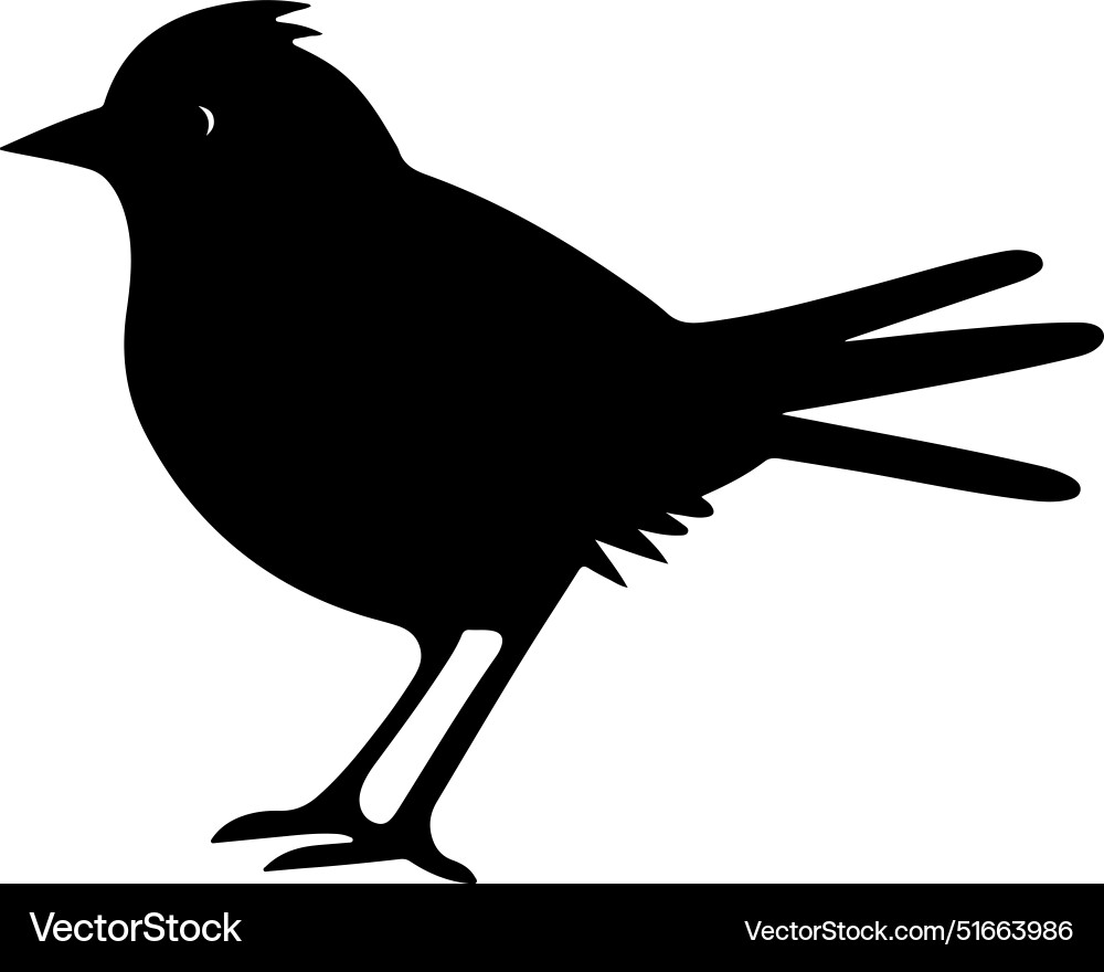 Bulbul bird silhouette white background Royalty Free Vector