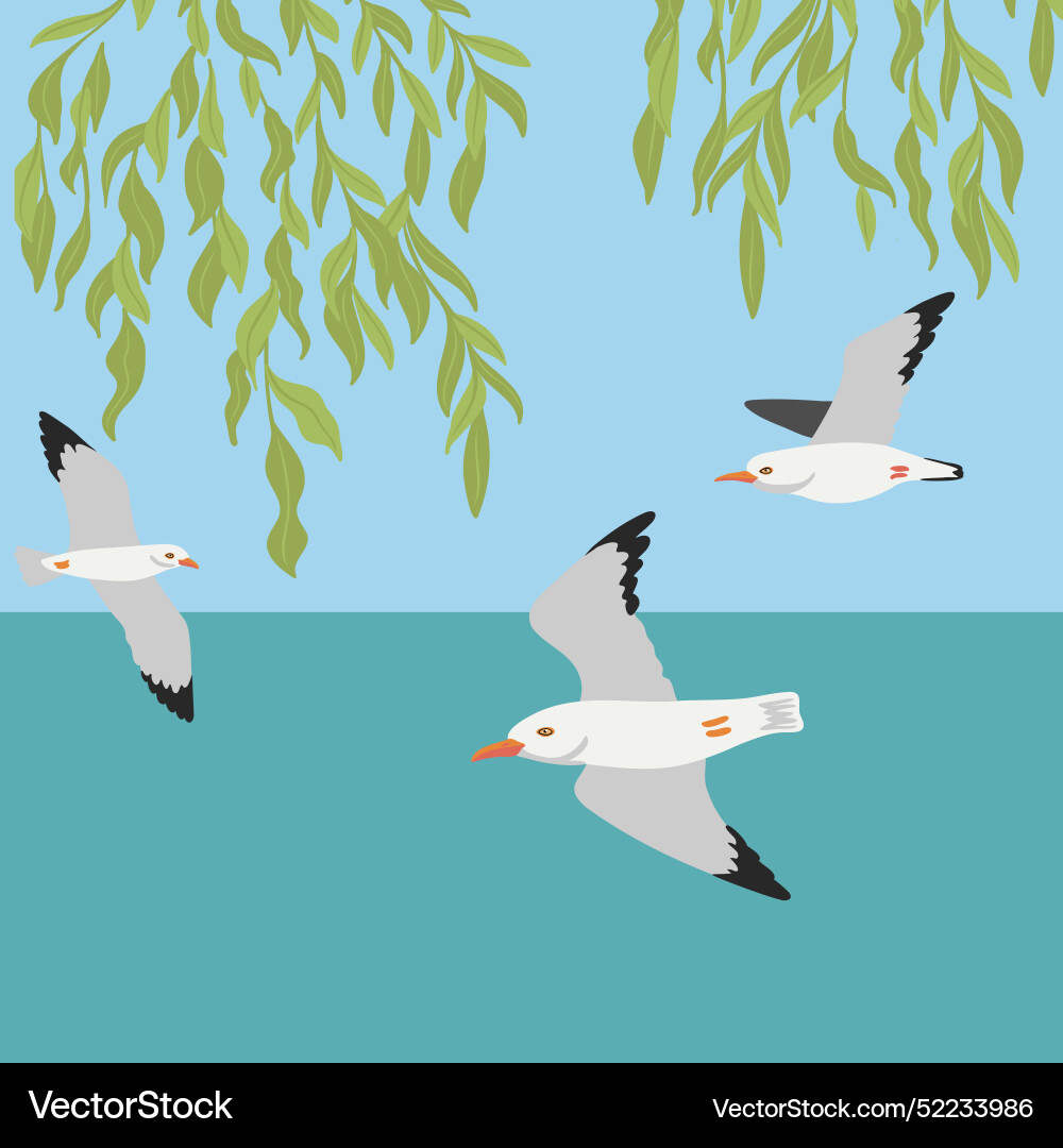 Drawing birds herring gulls Royalty Free Vector Image