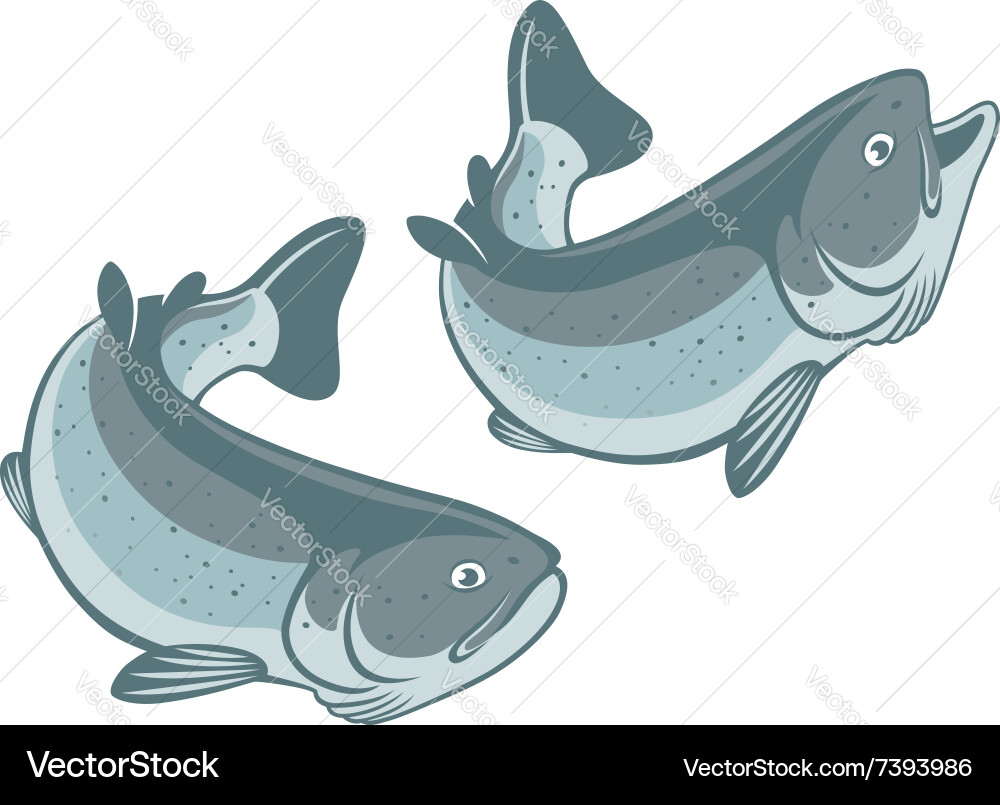 Shows a trout Royalty Free Vector Image - VectorStock