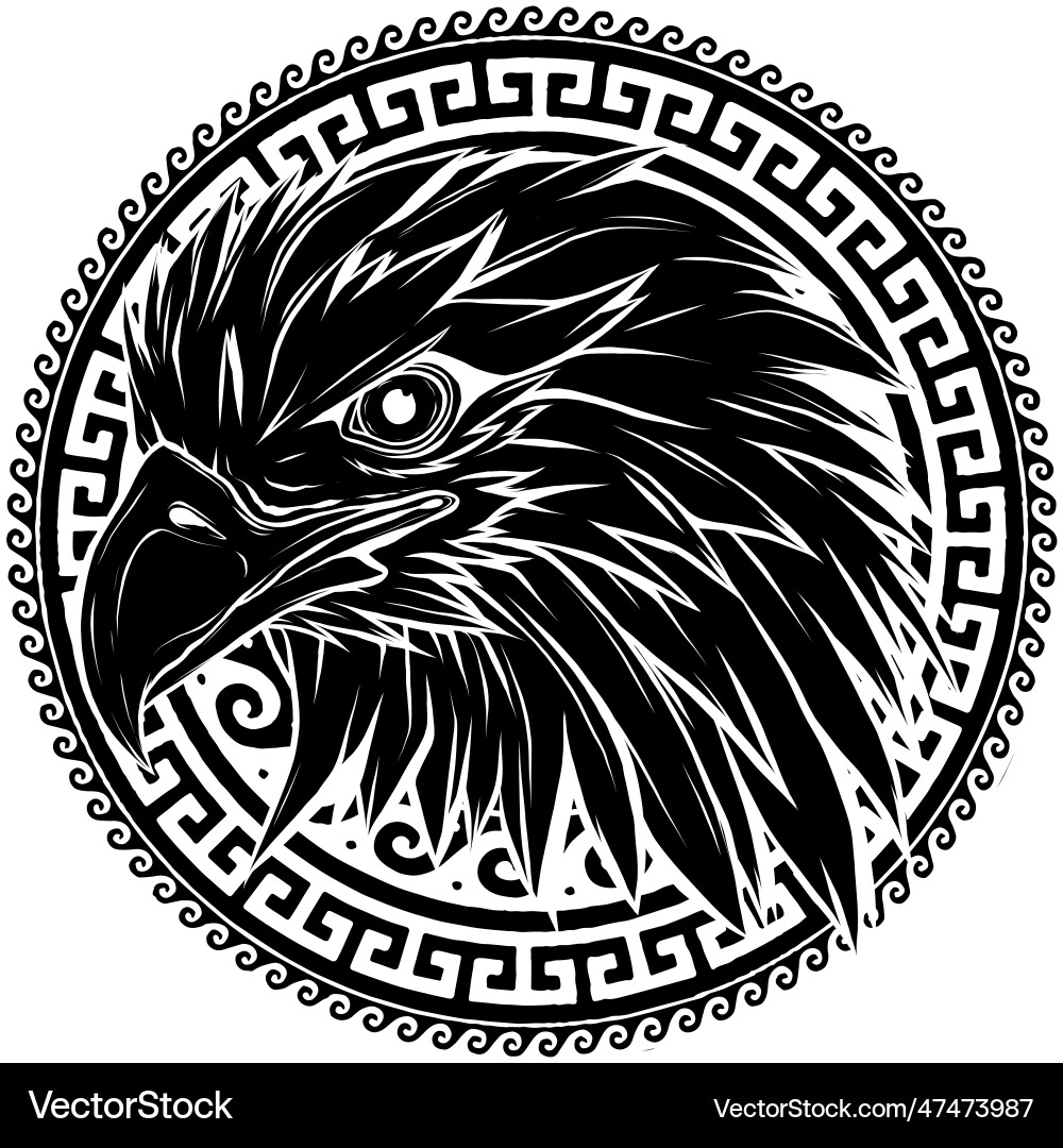 Black Eagle Head Logo Black Eagle Aka Verreaux's Eagle (Aquila