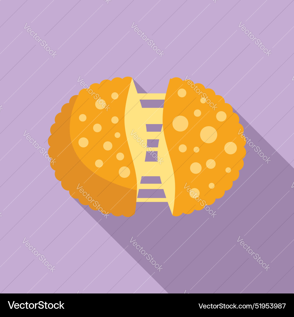 Delicious round cookie split in half showing Vector Image