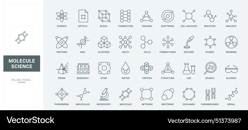 Molecular structure and model in scientific Vector Image