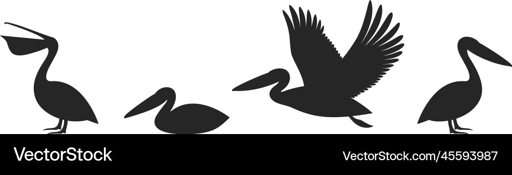 Pelican Royalty Free Vector Image - VectorStock