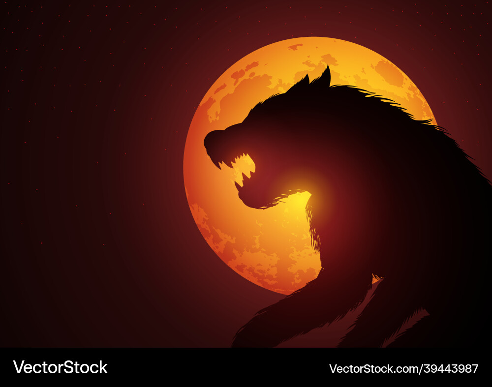 Super Moon Werewolves Werewolf Howling Moon Stock Illustrations