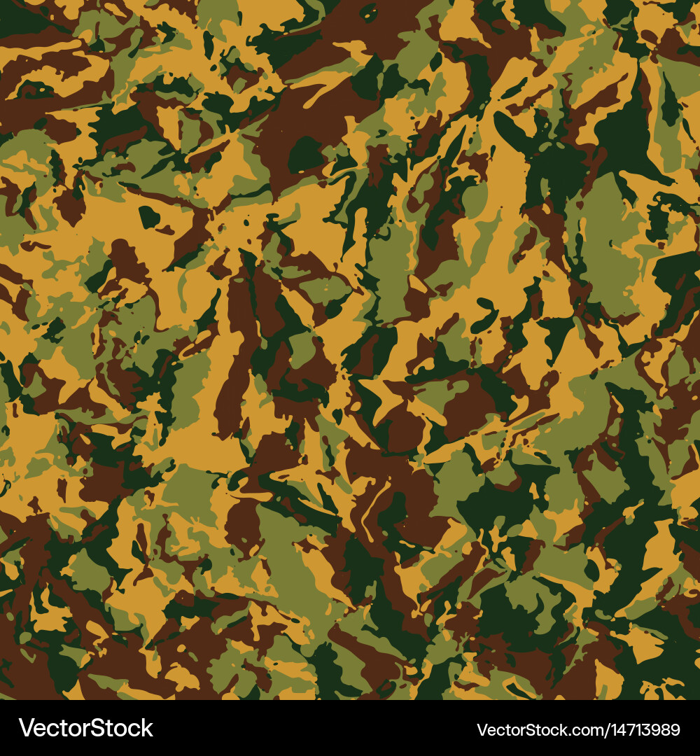 Abstract Camo Splash Pattern Royalty Free Vector Image