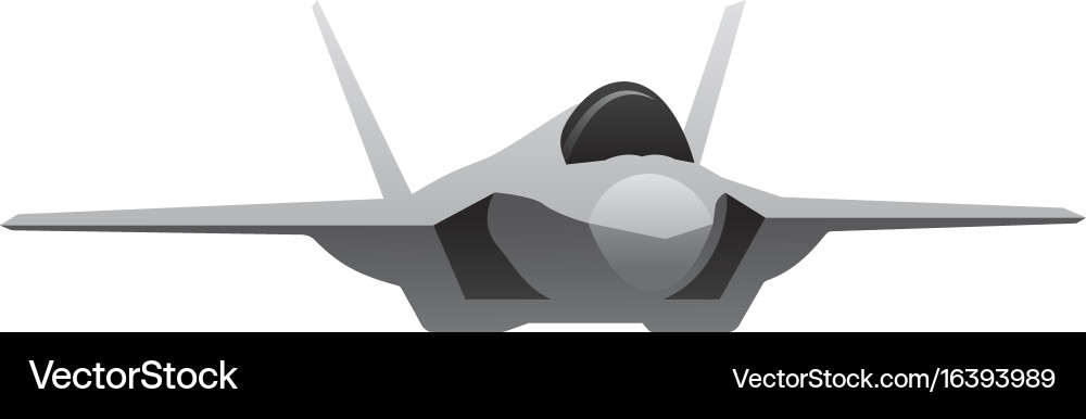 Modern military fighter jet aircraft Royalty Free Vector