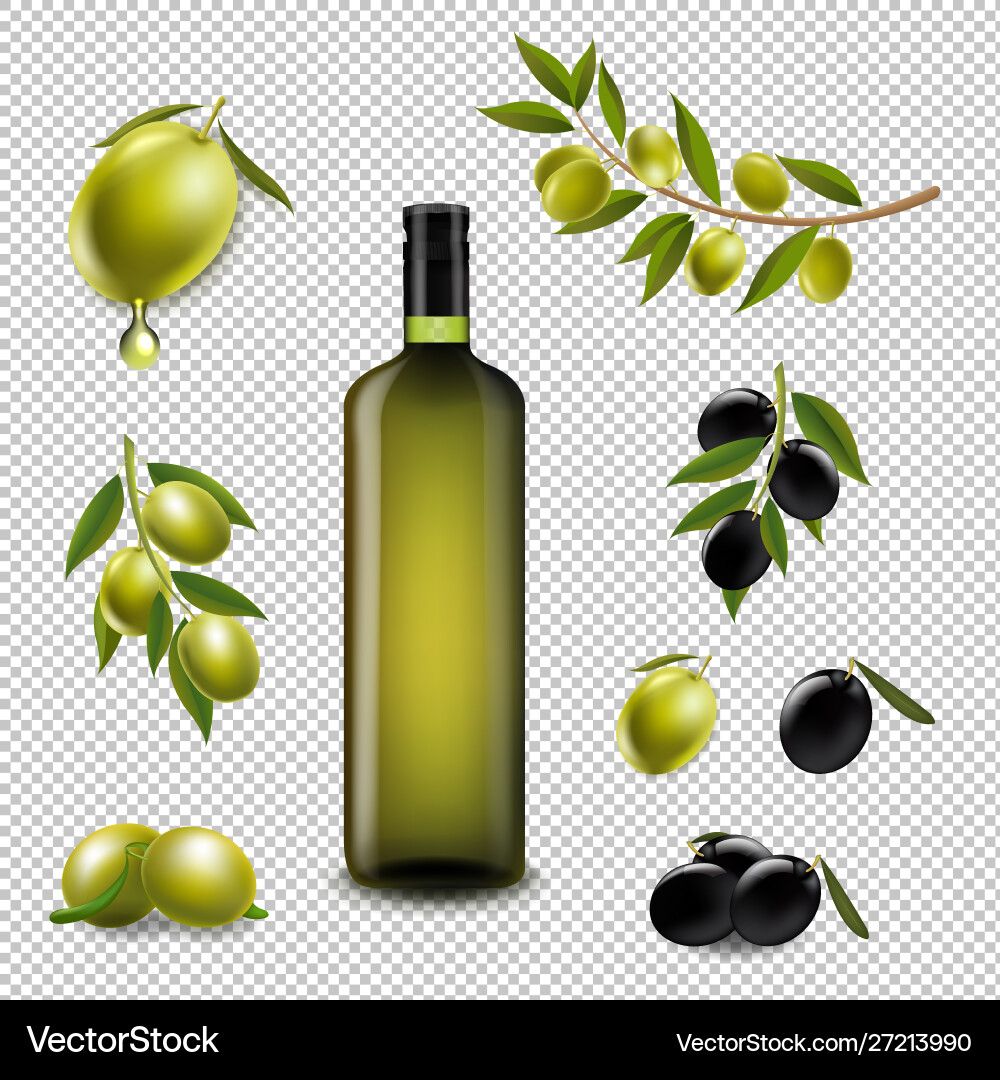 Big set with branch olives and virgin olive Vector Image