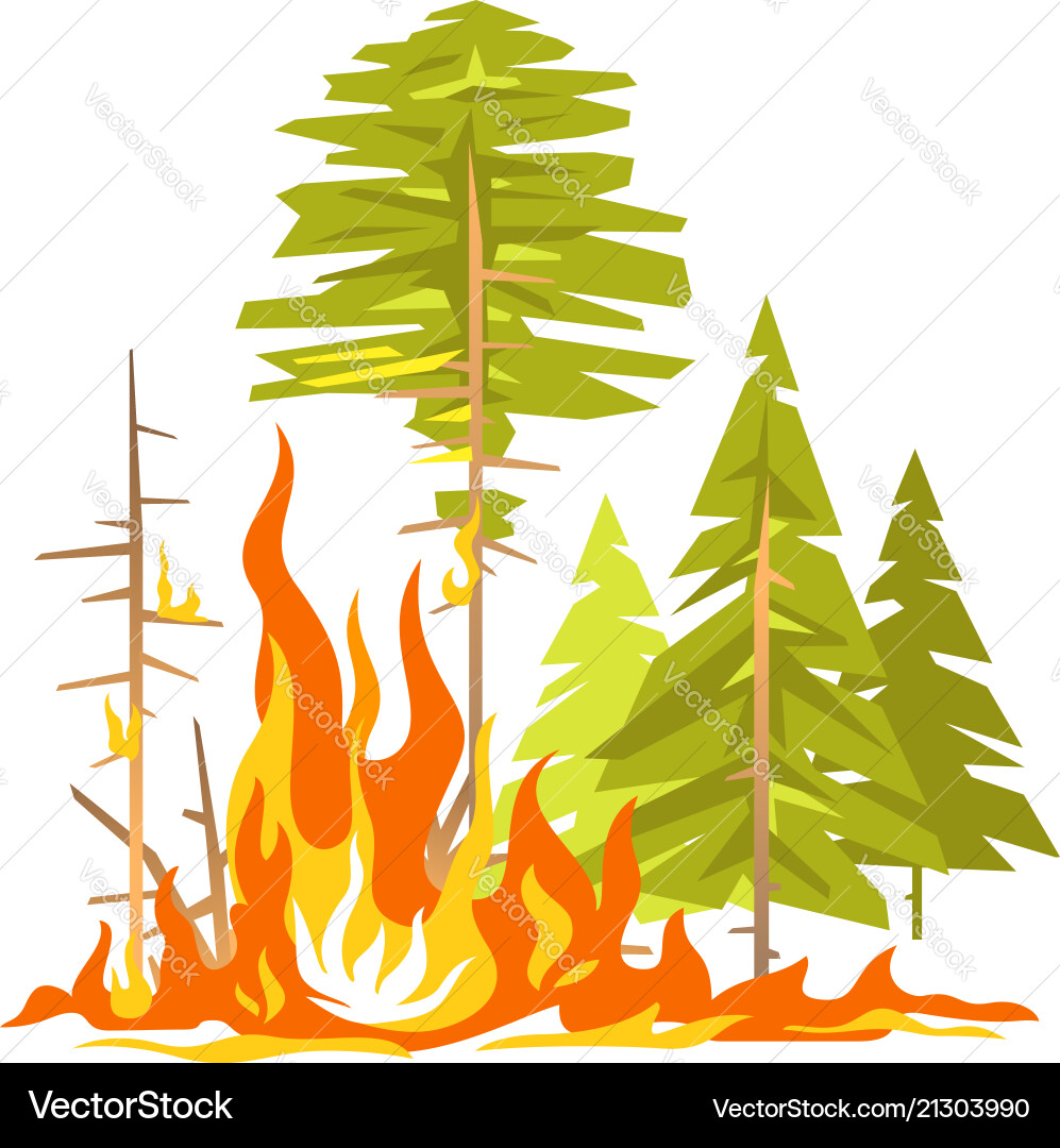 Forest Fire Disaster Royalty Free Vector Image