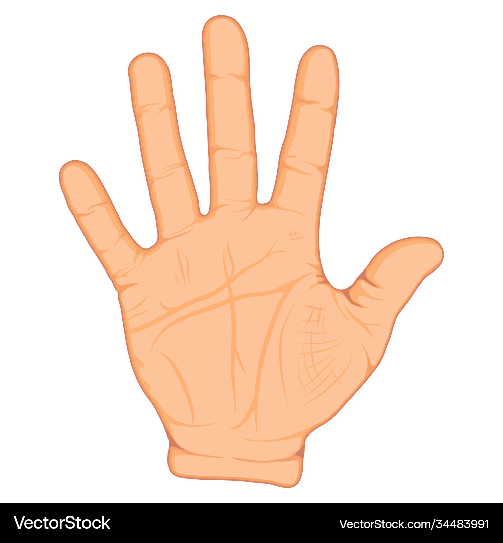 Open Palm Hand Gesture Royalty Free Vector Image
