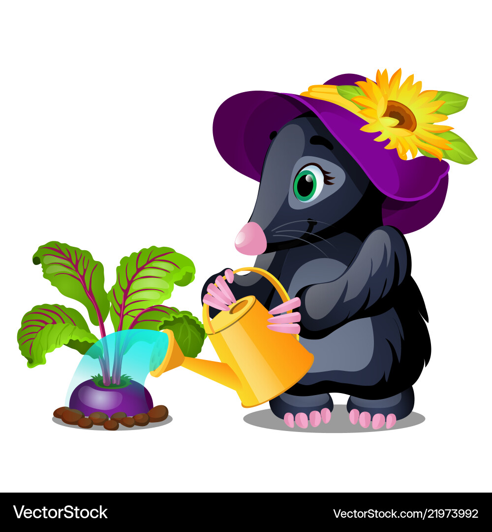 Cute animated mole watering beets from Royalty Free Vector