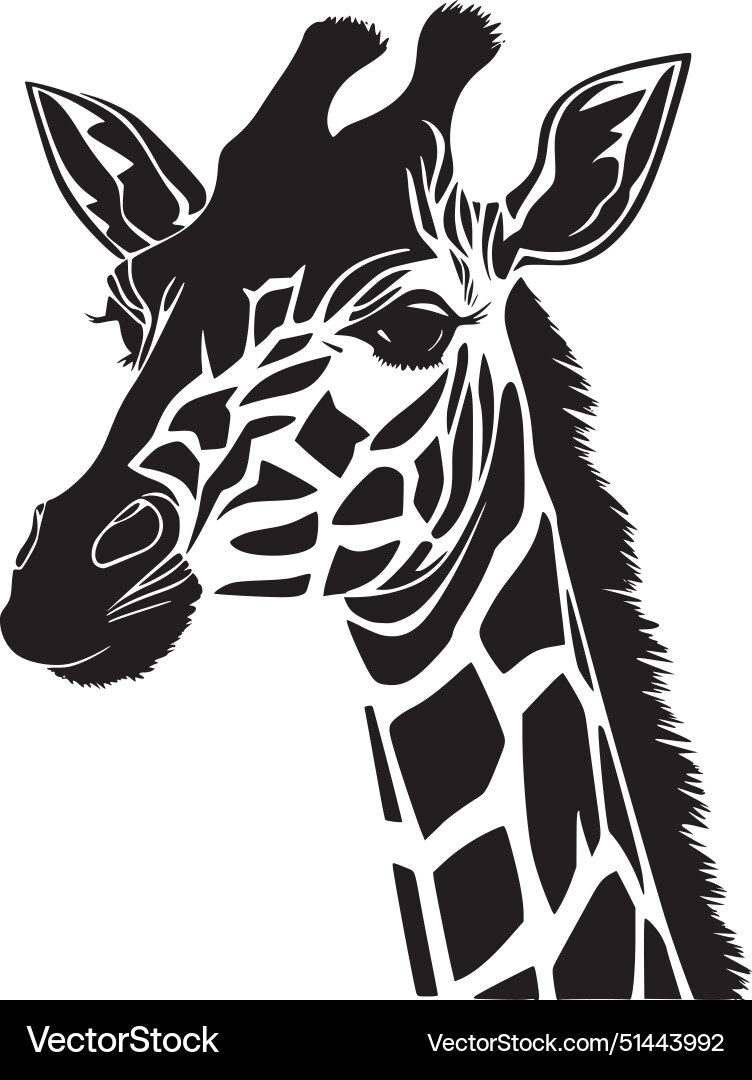 Giraffe - black and white Royalty Free Vector Image