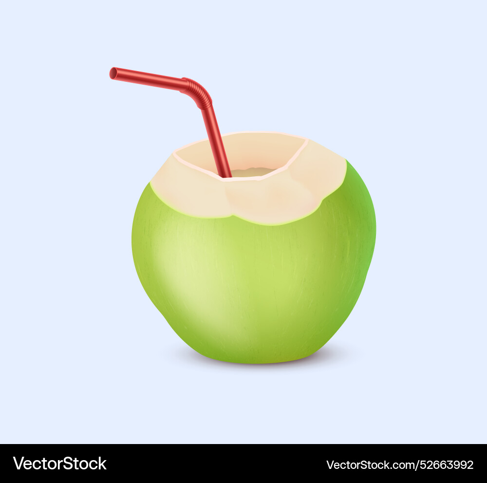 Green coconut with straw realistic Royalty Free Vector Image