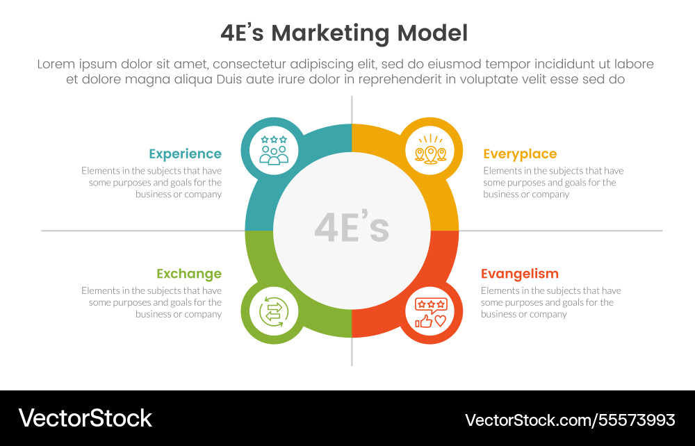 4E Marketing Model - Stage Breakdown Royalty Free Vector