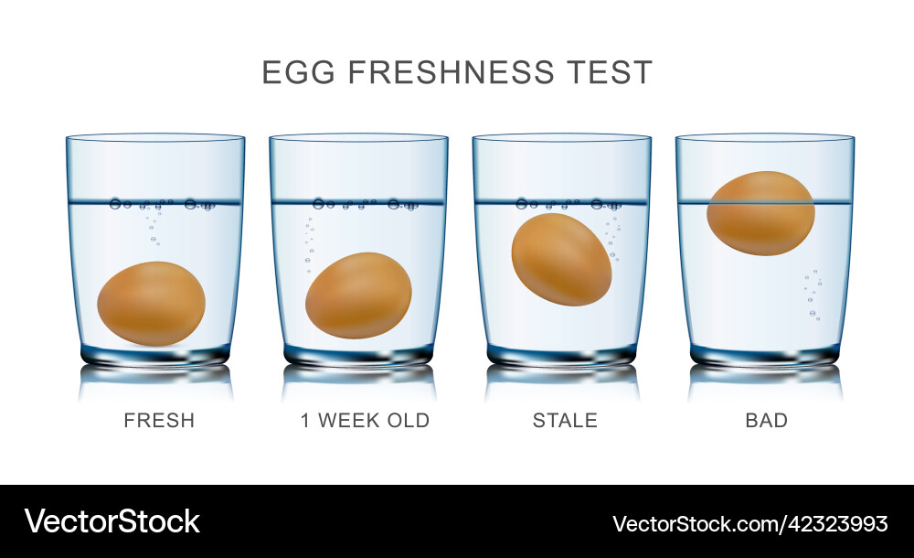 Freshness Of Eggs Buy Fresh Farm Eggs Aurum Poultry Co.