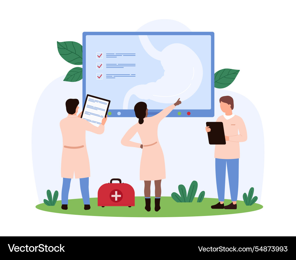 Medical team analyzing endoscopy results concept Vector Image