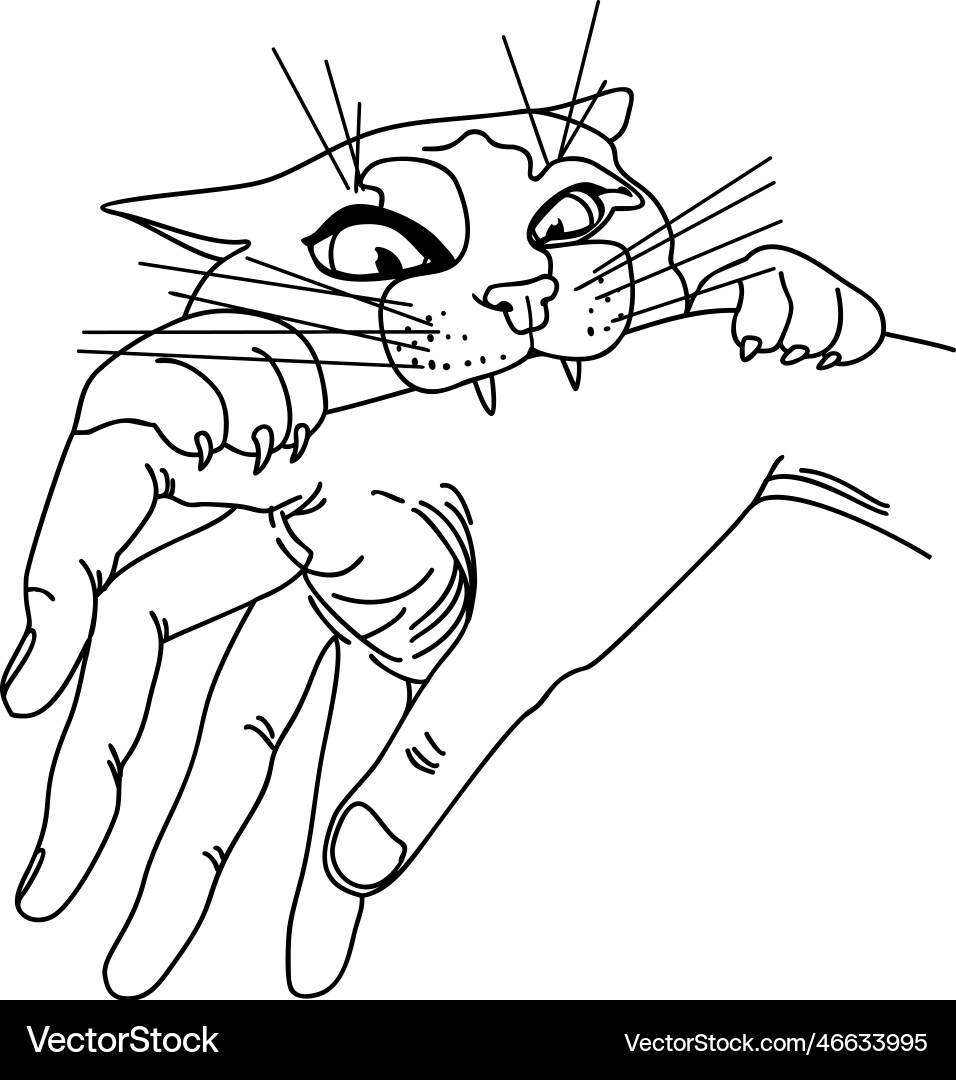 Angry cat bites a mans hand drawing Royalty Free Vector