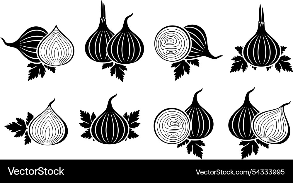 Onion Royalty Free Vector Image - VectorStock