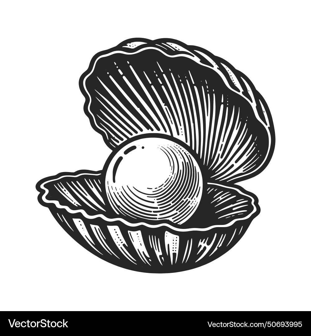 Pearl in open oyster shell engraving Royalty Free Vector