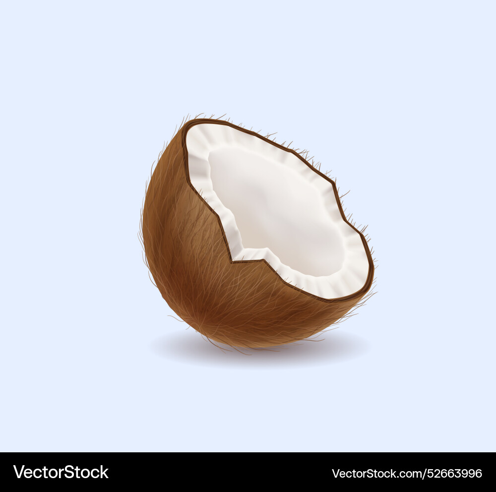 Exotic broken coconut half realistic Royalty Free Vector
