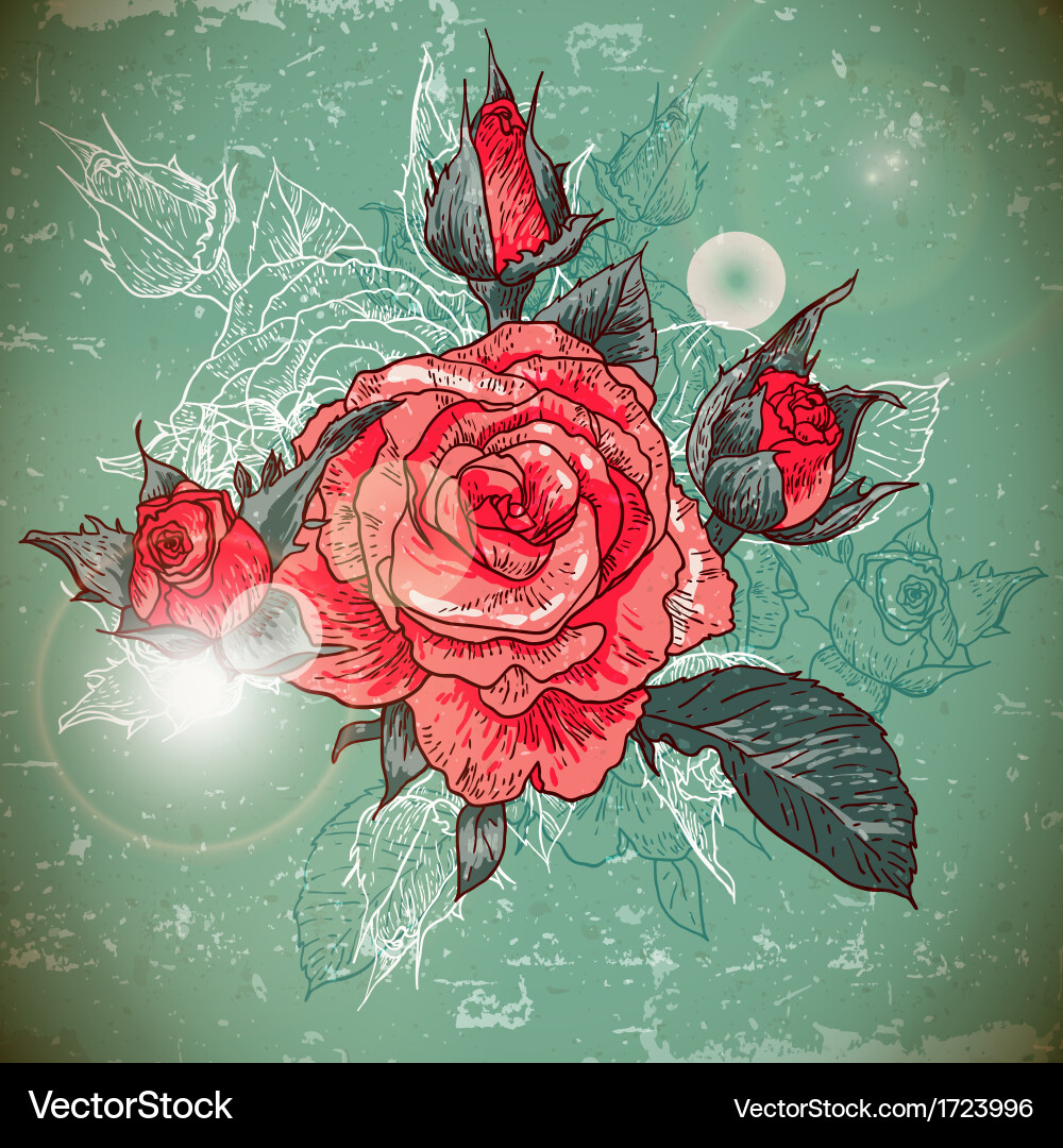 Rose background Royalty Free Vector Image - VectorStock