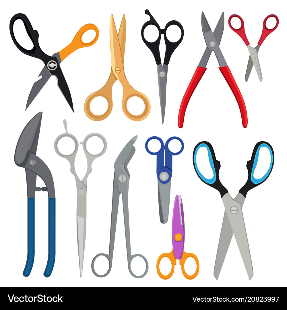 Different types Royalty Free Vector Image - VectorStock