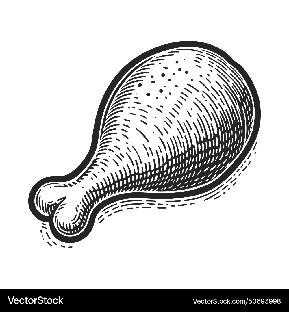 Fried chicken drumstick leg sketch Royalty Free Vector Image