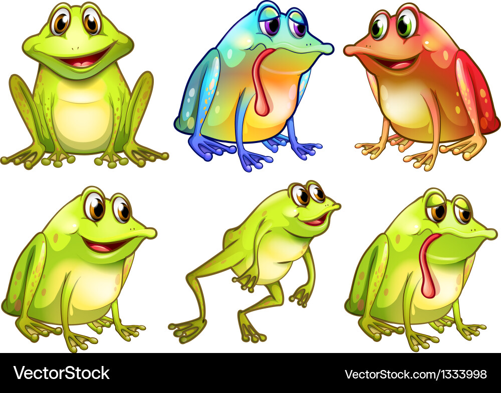Six different frogs Royalty Free Vector Image - VectorStock