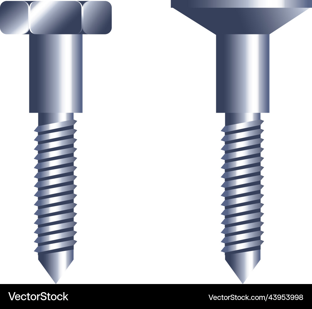 Tools and details for fixing screws instrument Vector Image