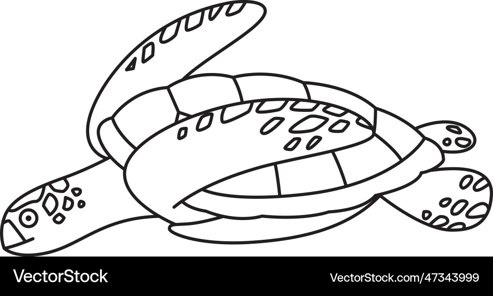 Sea turtle painting Royalty Free Vector Image - VectorStock