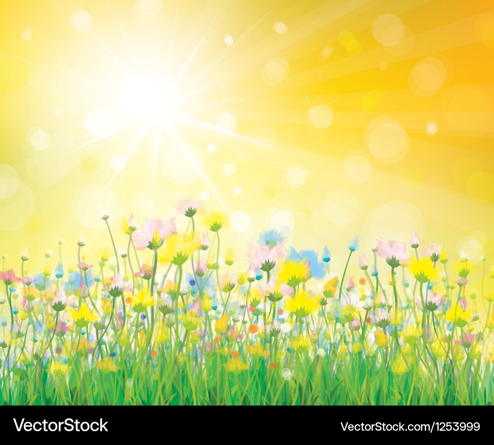 Vibrant Floral Spring Meadow Royalty Free Vector Image