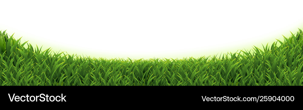 Green grass isolated white background Royalty Free Vector