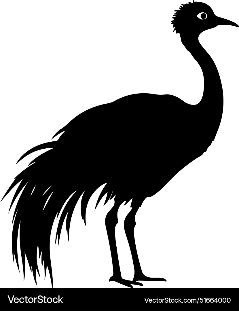 Moa bird silhouette white background Royalty Free Vector