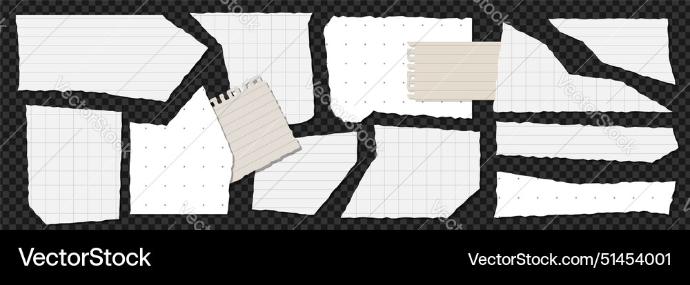 Paper torn rip edge strip pieces set blank Vector Image