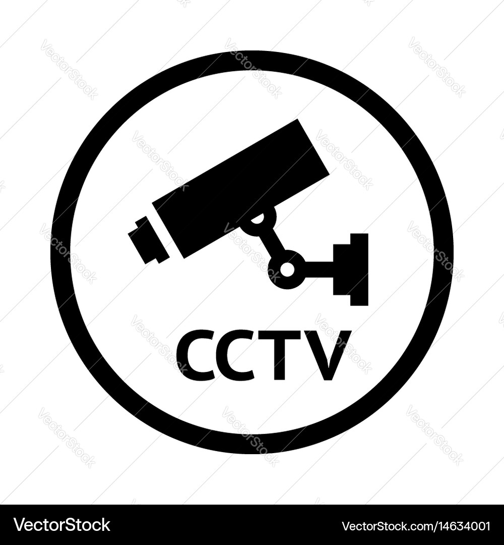 Video surveillance symbol Royalty Free Vector Image