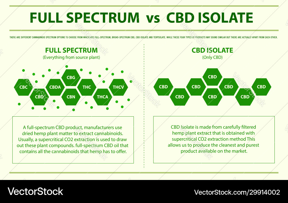 CBD Isolate vs. Full Spectrum Royalty Free Vector Image