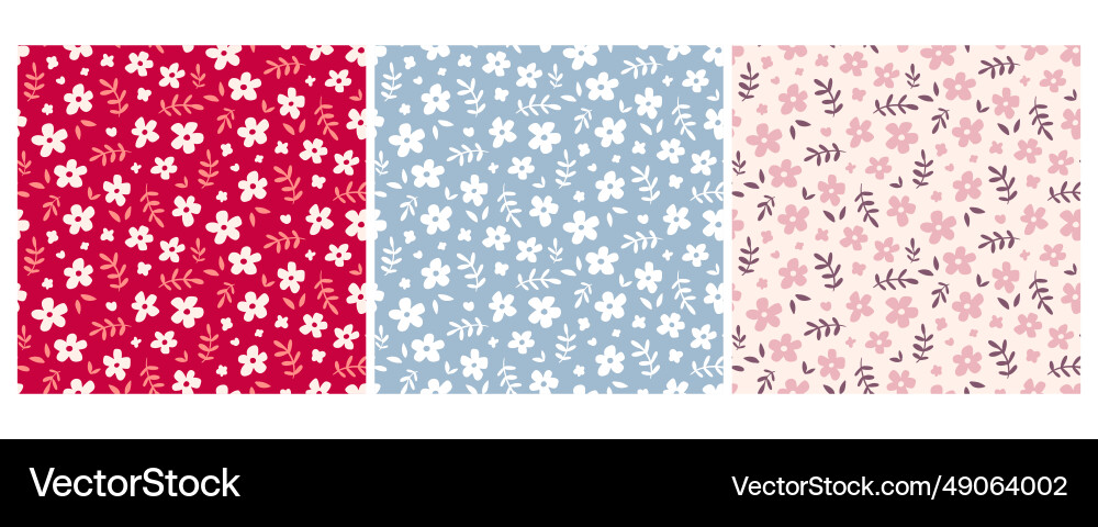 Daisy flowers seamless pattern set floral print Vector Image