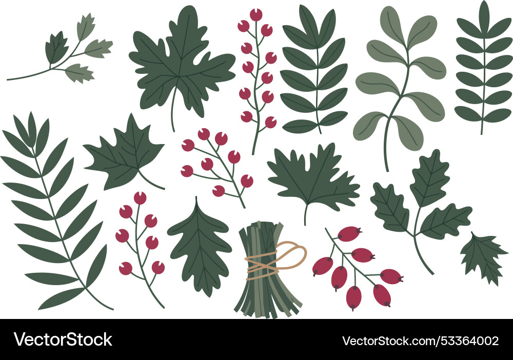 Floral and botanical elements image Royalty Free Vector