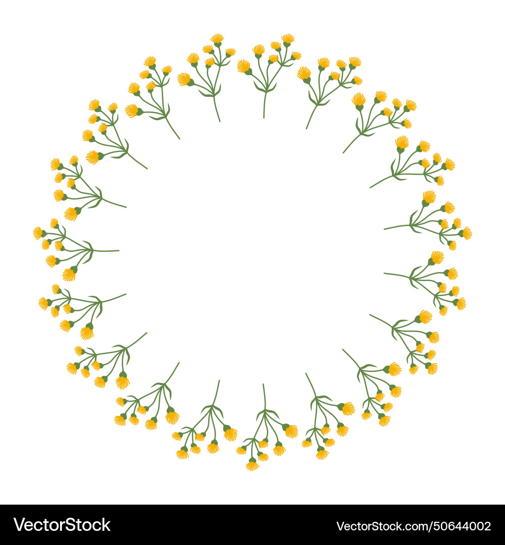 Hand drawn minimalist spring botanical element Vector Image
