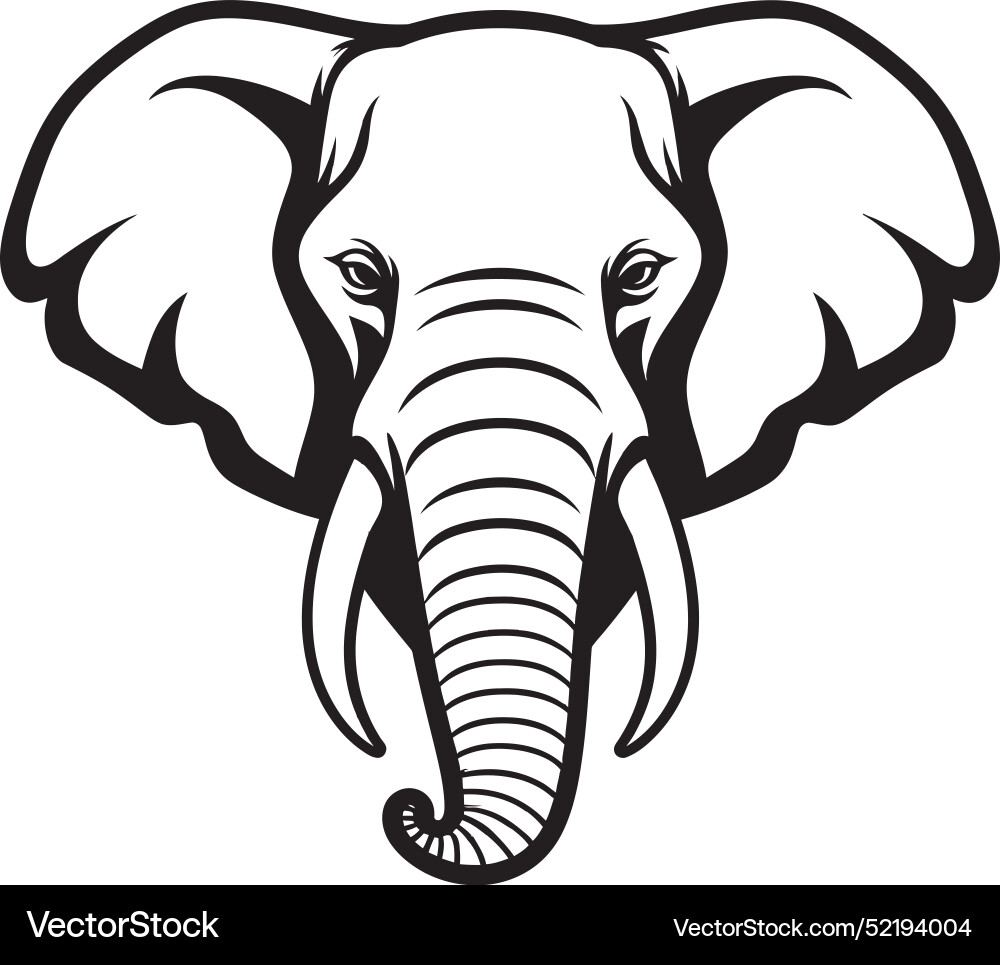 Elusive white elephant a cultural enigmaelephants Vector Image